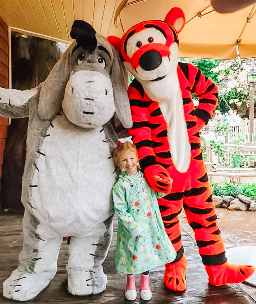 Rainy Days at Disneyland: Tips and Secrets – Castles, Characters, and ...
